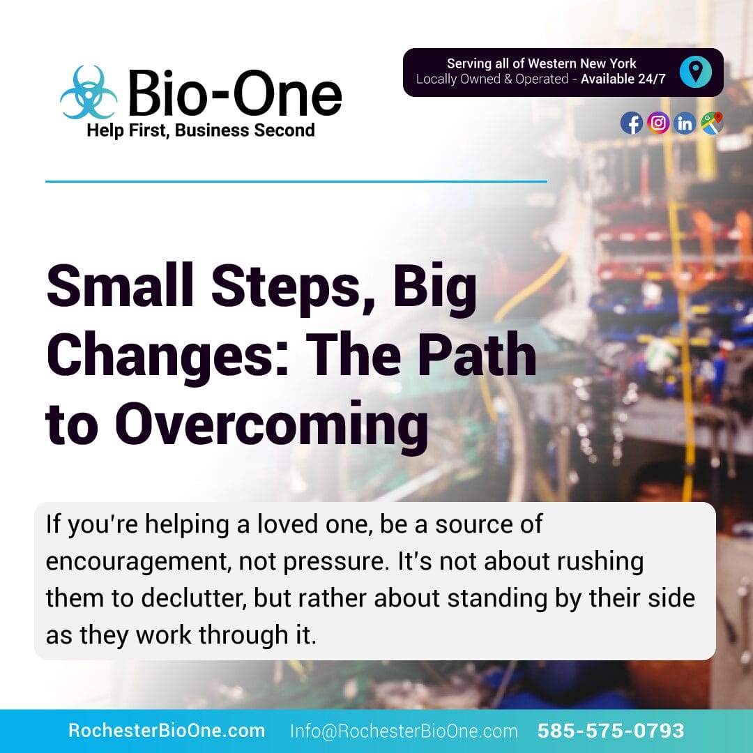Small Steps, Big Changes: The Path to Overcoming Hoarding - Bio-One of ...
